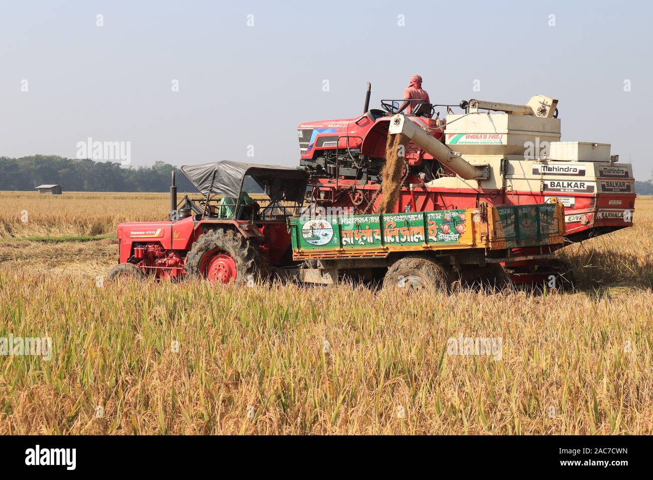 Indian Rice Farming High Resolution Stock Photography and Images - Alamy
