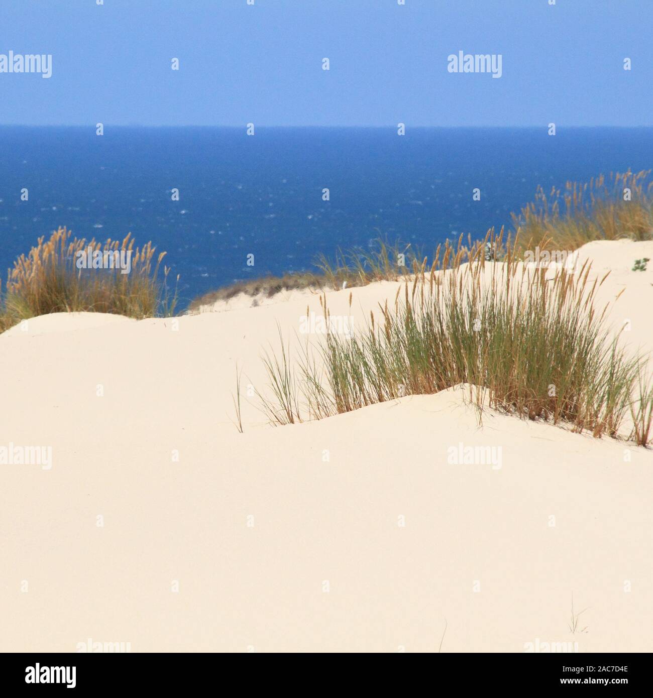 Portugal am Meer Stock Photo - Alamy