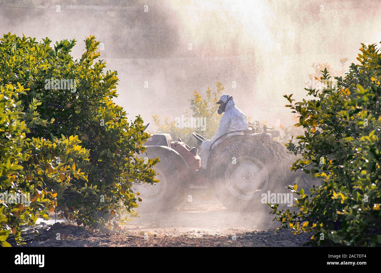 Tractor spraying pesticide and insecticide on lemon plantation in Spain ...