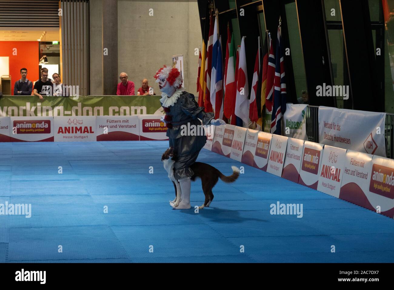 impressions of the dog dance world cup 2019 at the fair autumn 2019 in ...