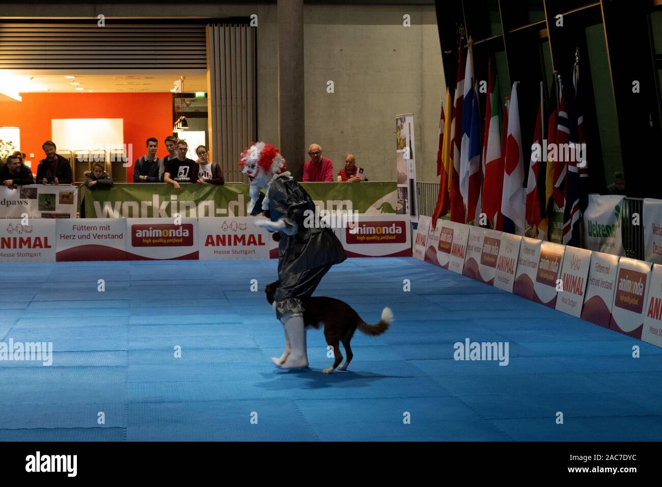 impressions of the dog dance world cup 2019 at the fair autumn 2019 in ...