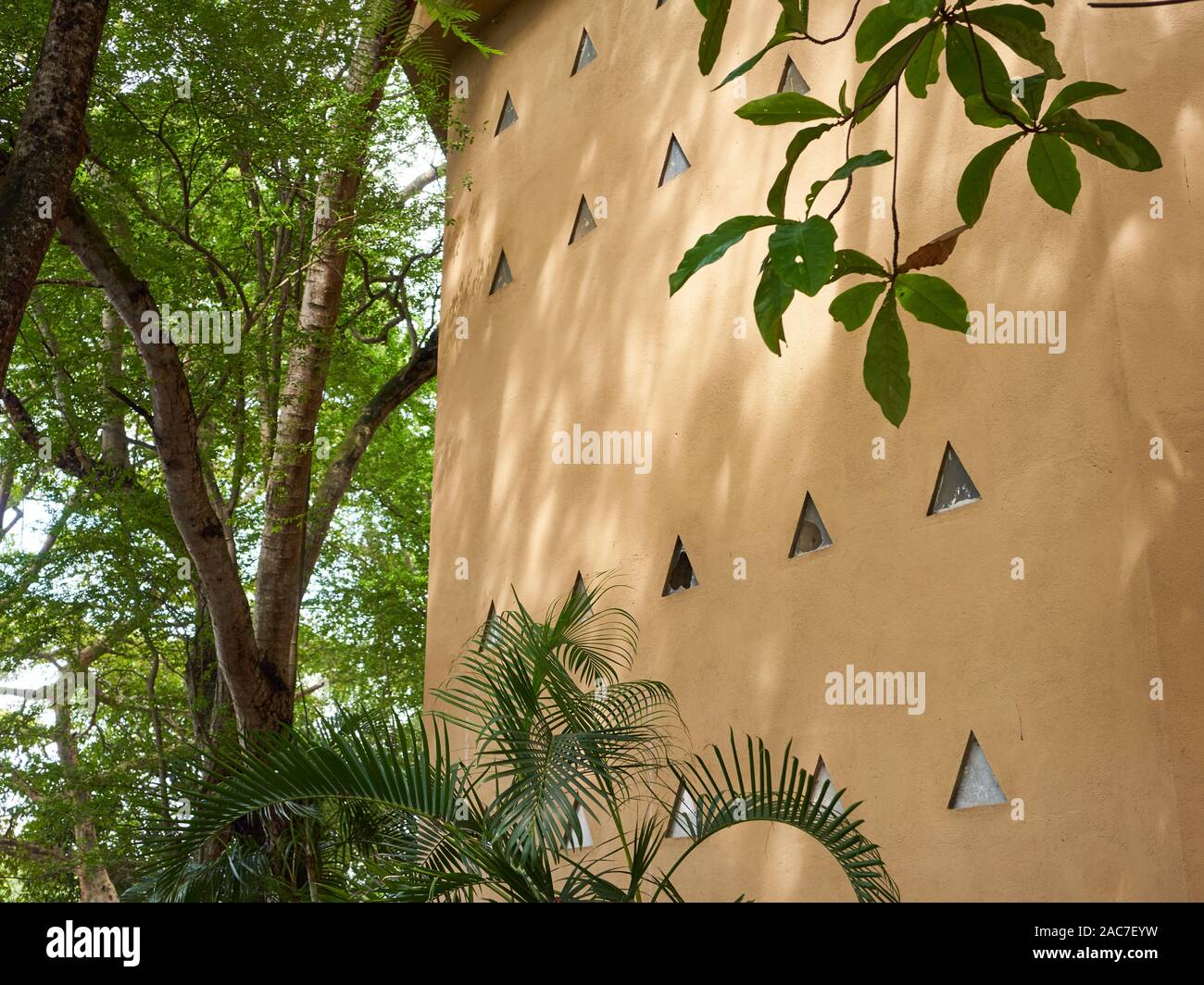 dappled light on the side of a building in the jungle in Colombo Stock ...