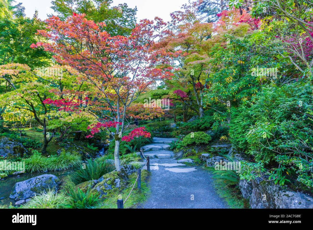 A view of a garden walkway with autumn colors in Seattle, Washington ...