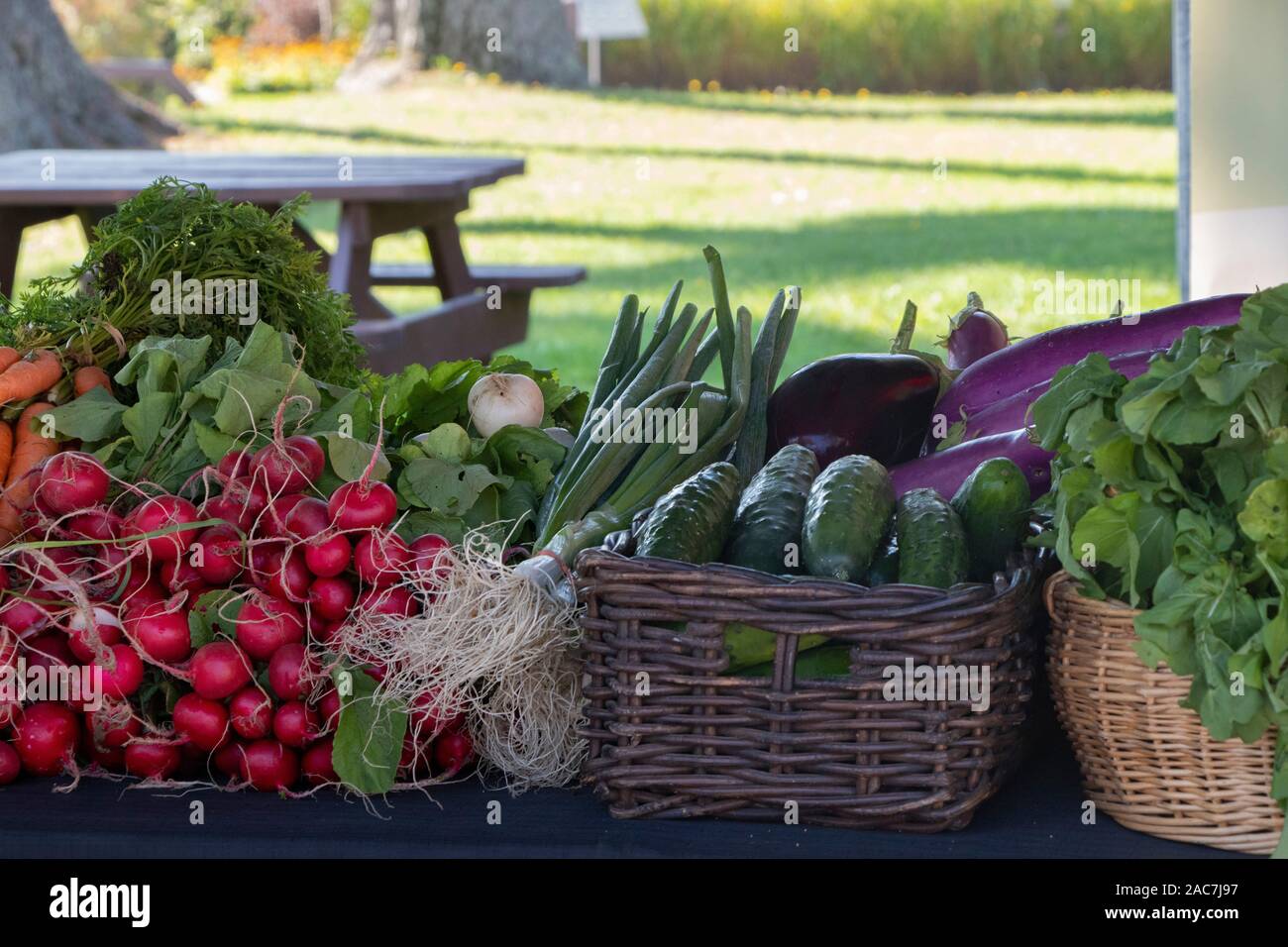 Vegetable display hi-res stock photography and images - Alamy