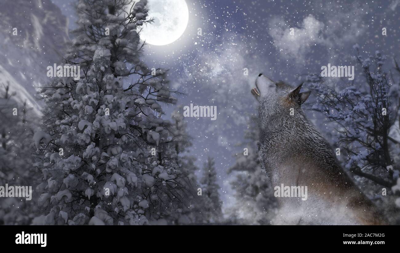 Wolf singing on moon in wintry forest. 3d illustration Stock Photo - Alamy
