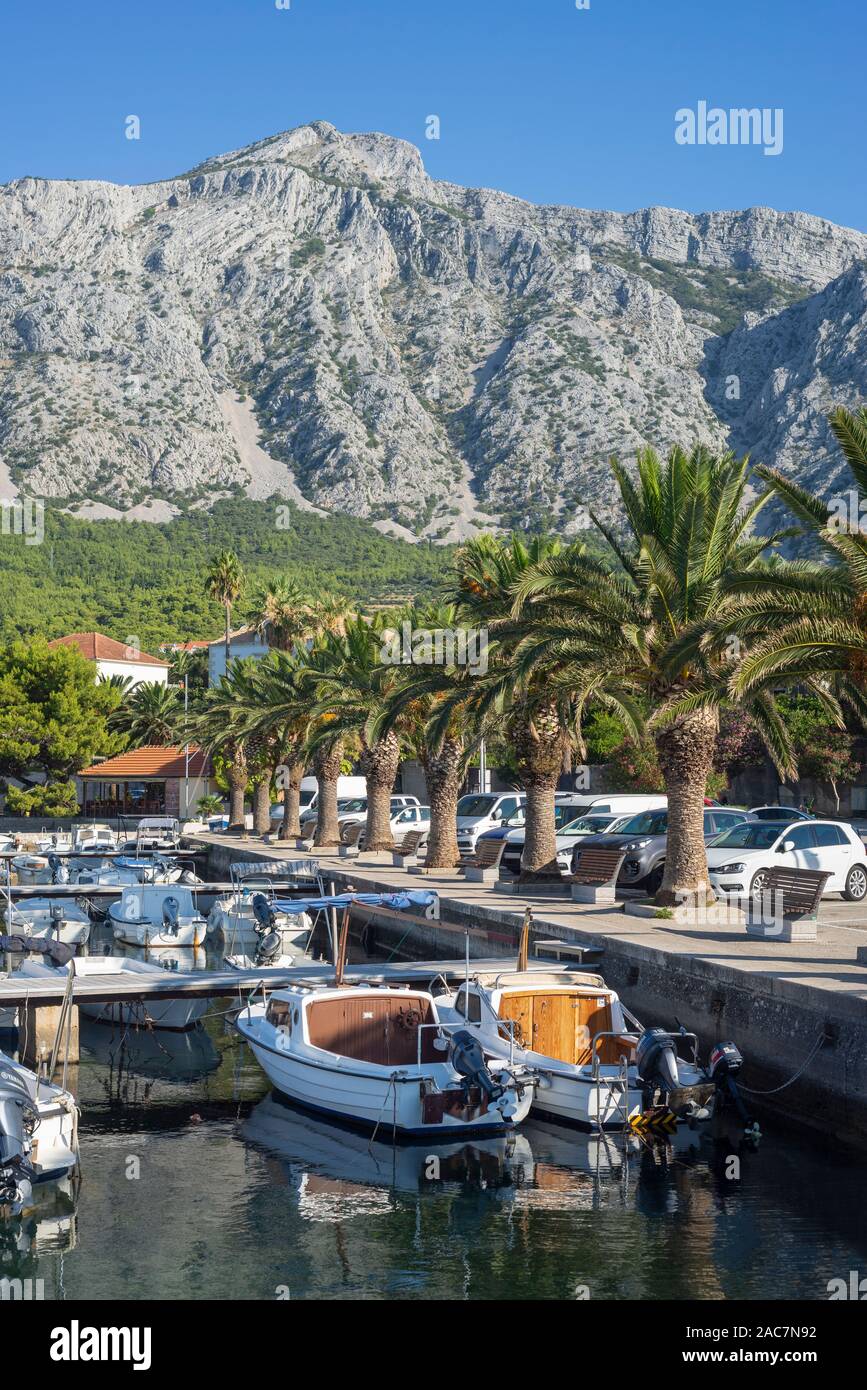 Boats and palm trees in the port of the city of Orebic in front of the ...