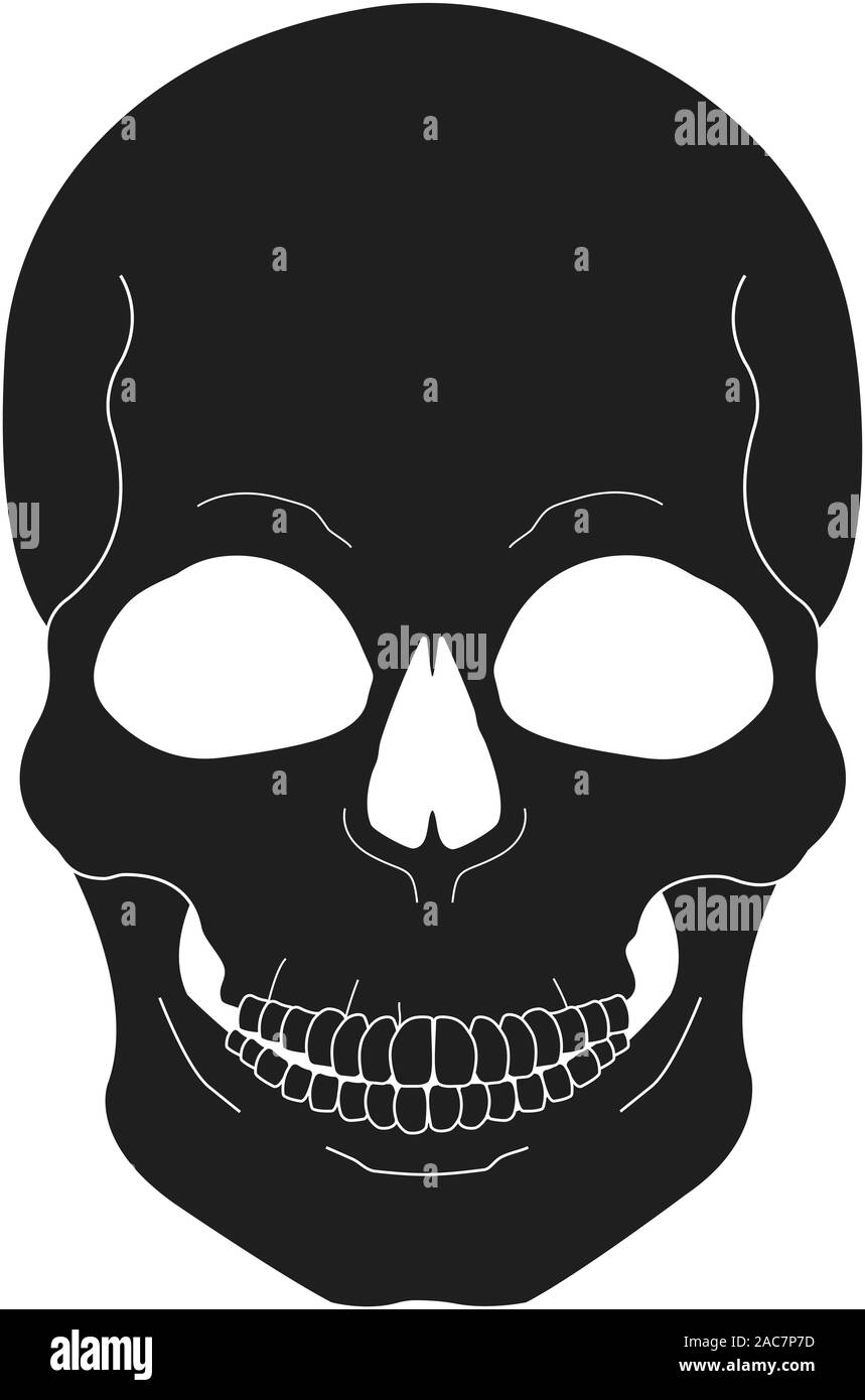 Black skull illustration. Isolated vector icon Stock Vector Image & Art ...