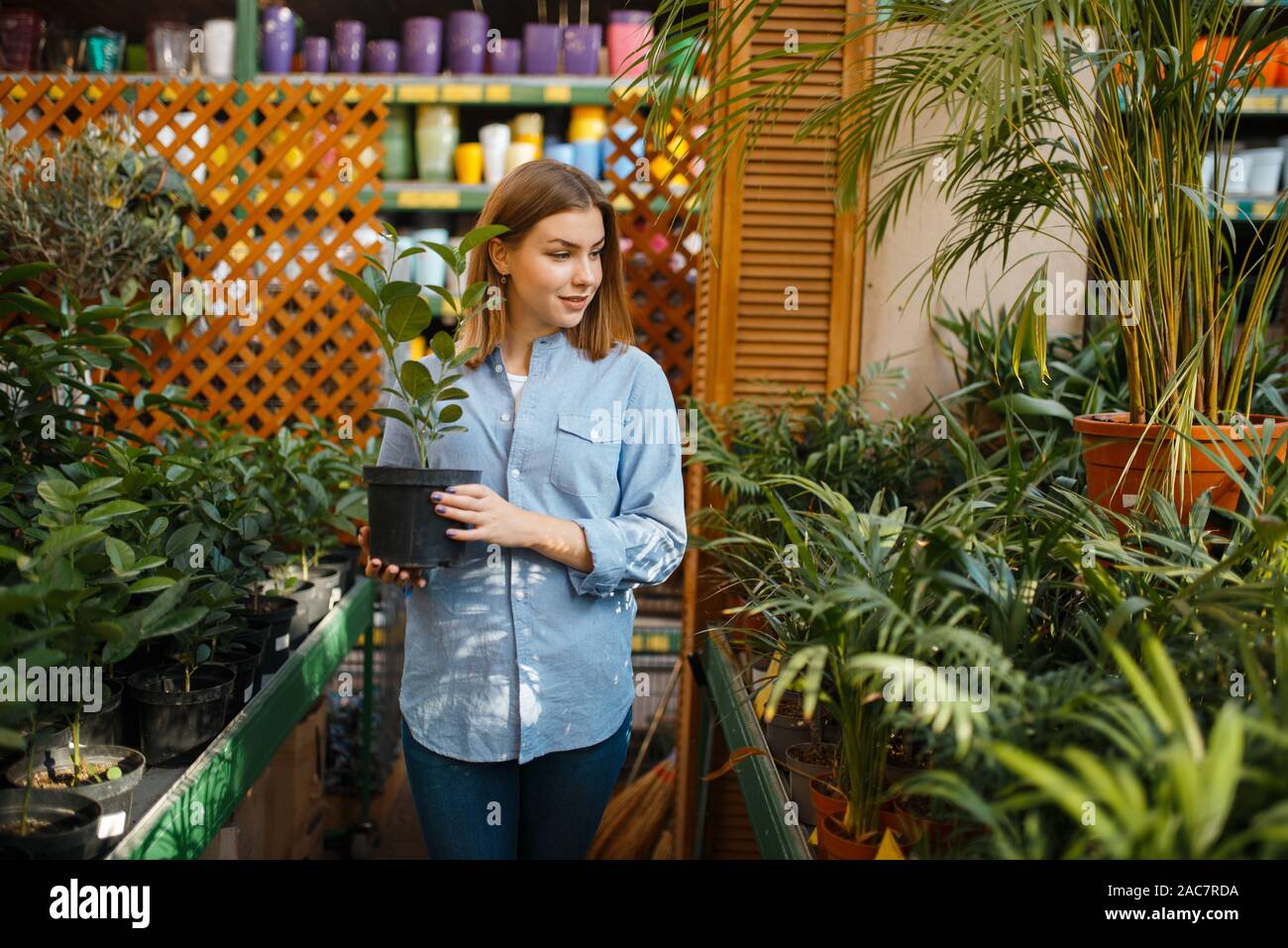 Customer with flower in a pot, shop for floristry Stock Photo - Alamy