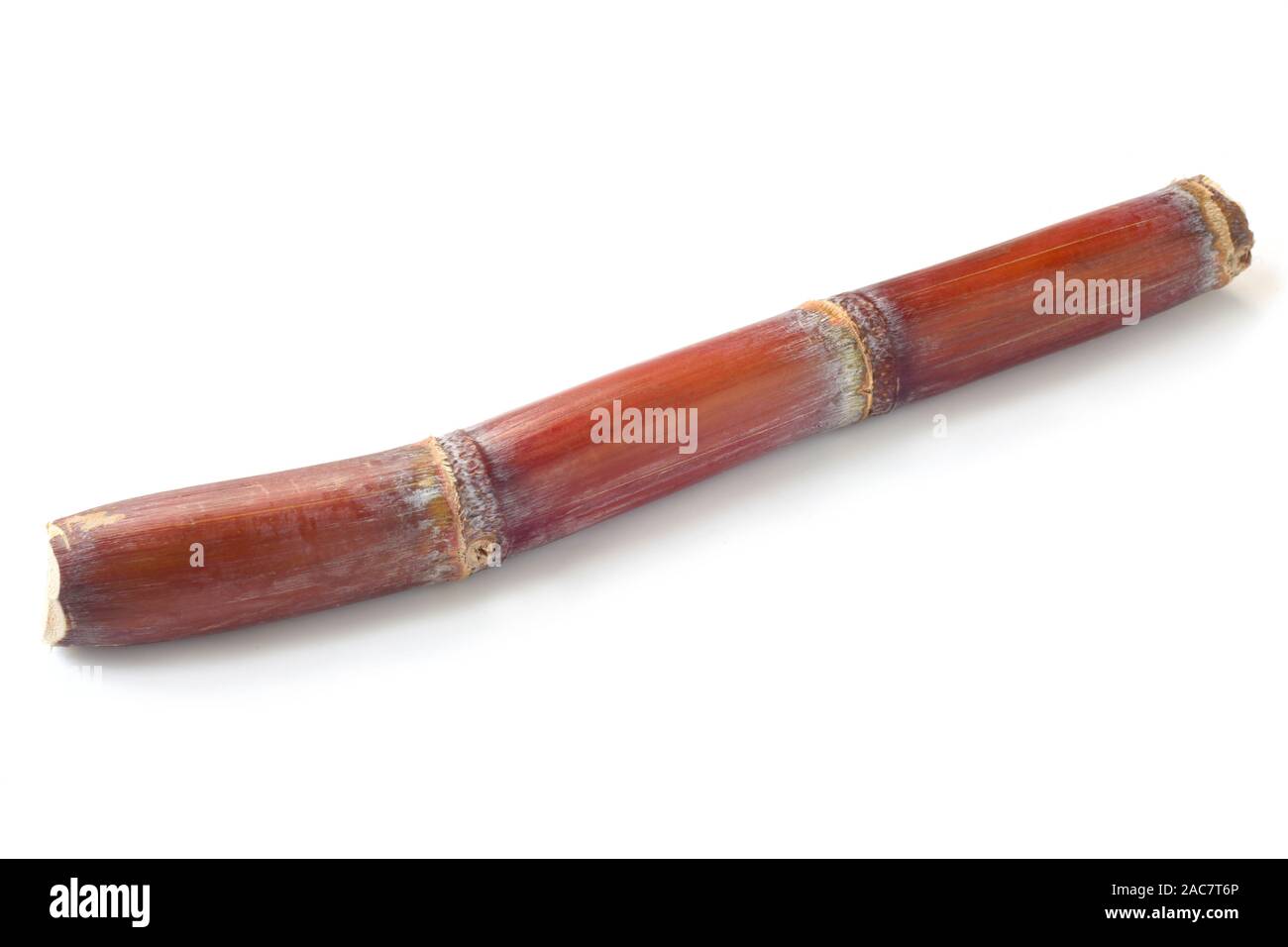 Sugar Cane Isolated On White Stock Photo - Alamy
