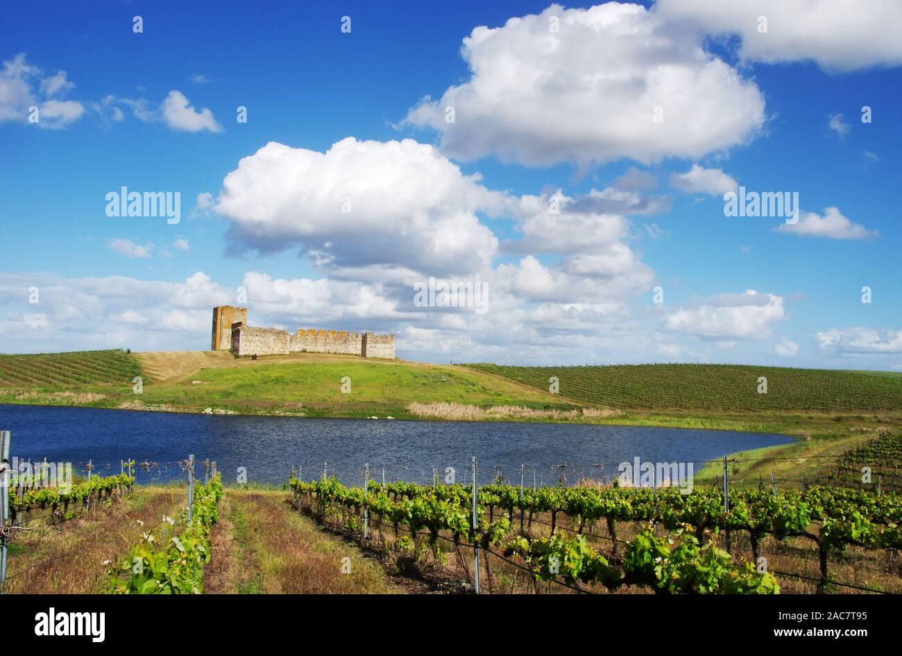vineyard and Valongo castle, alentejo region, Portugal Stock Photo - Alamy