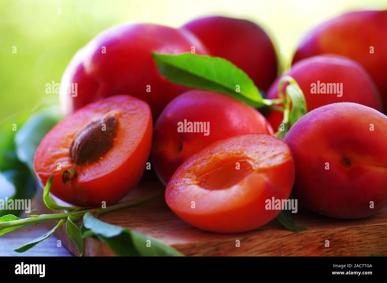 peaches, apricots, damasks and red fruits Stock Photo - Alamy