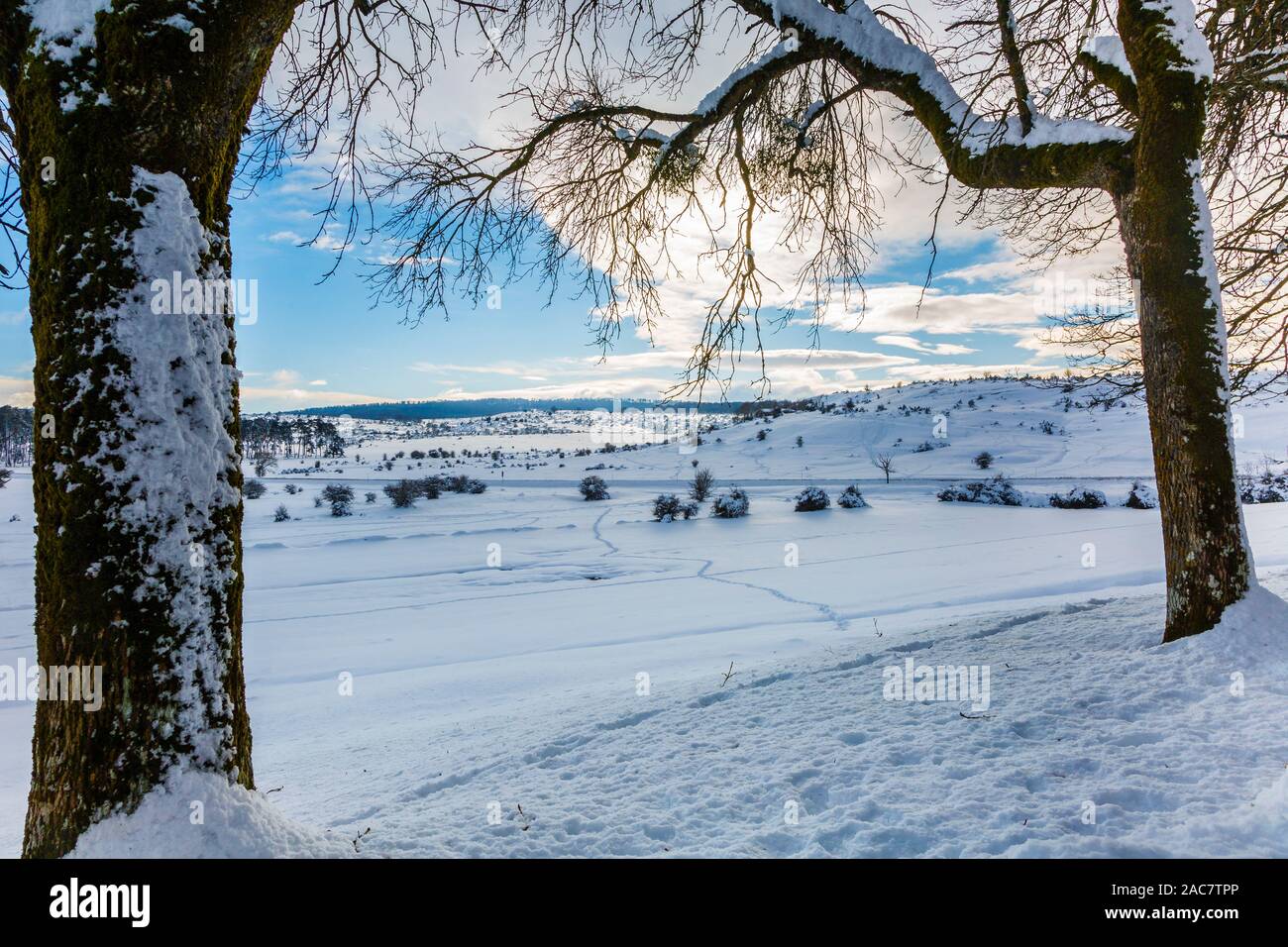 Snow capped trees winter hi-res stock photography and images - Alamy