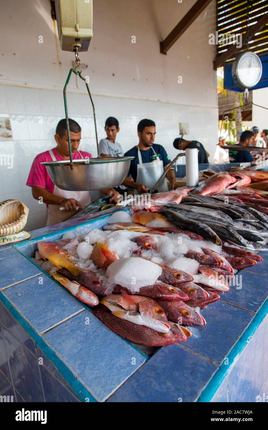 Fish Market, Sunday Market, Marina Riviera Nayarit, La Cruz de ...
