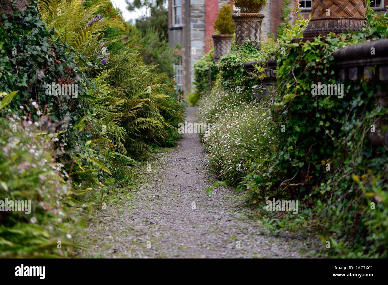 Overgrown gardens hi-res stock photography and images - Alamy