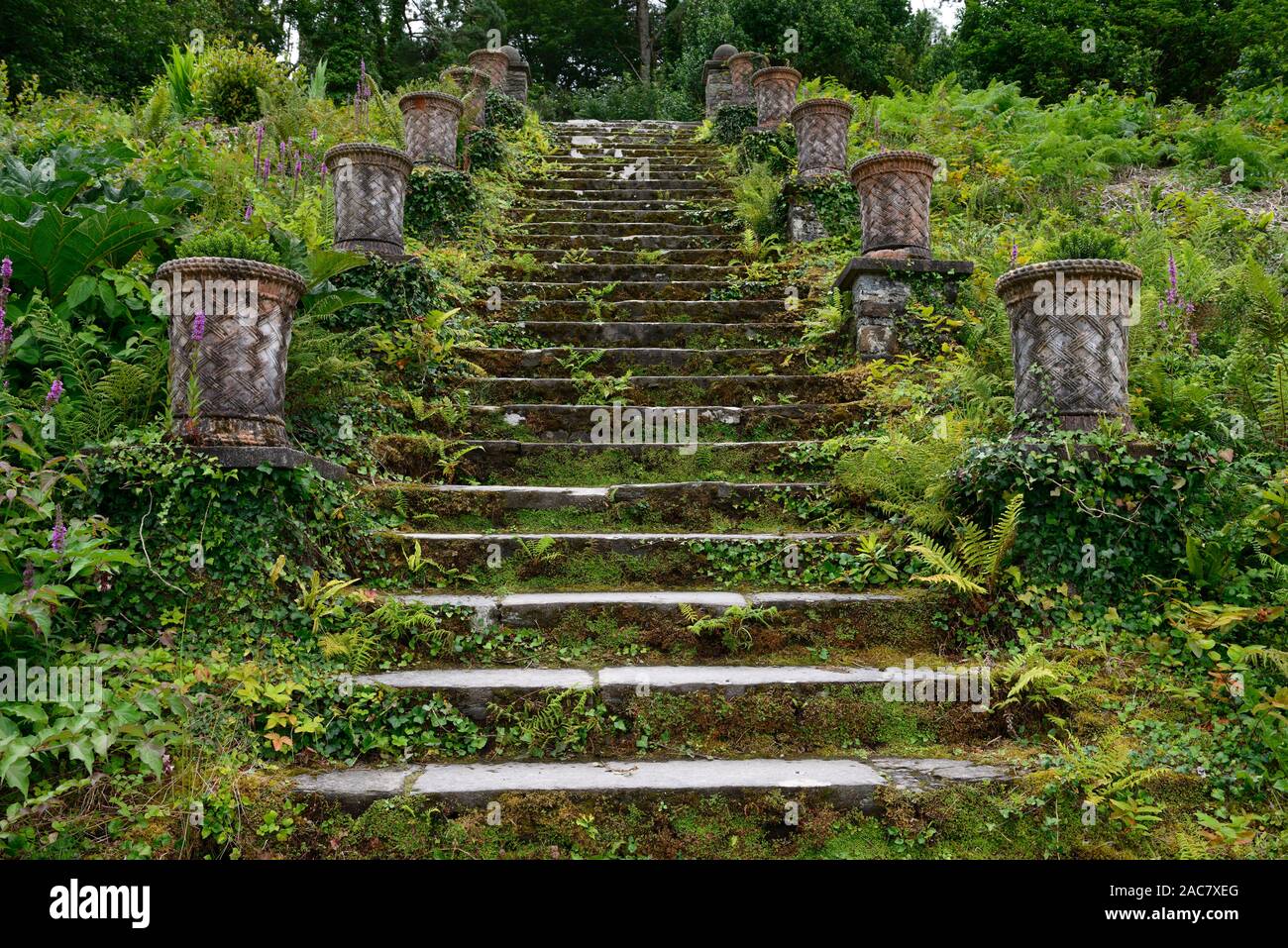 100 steps, one hundred steps,path,pathway,terrace,terraces,acer ...