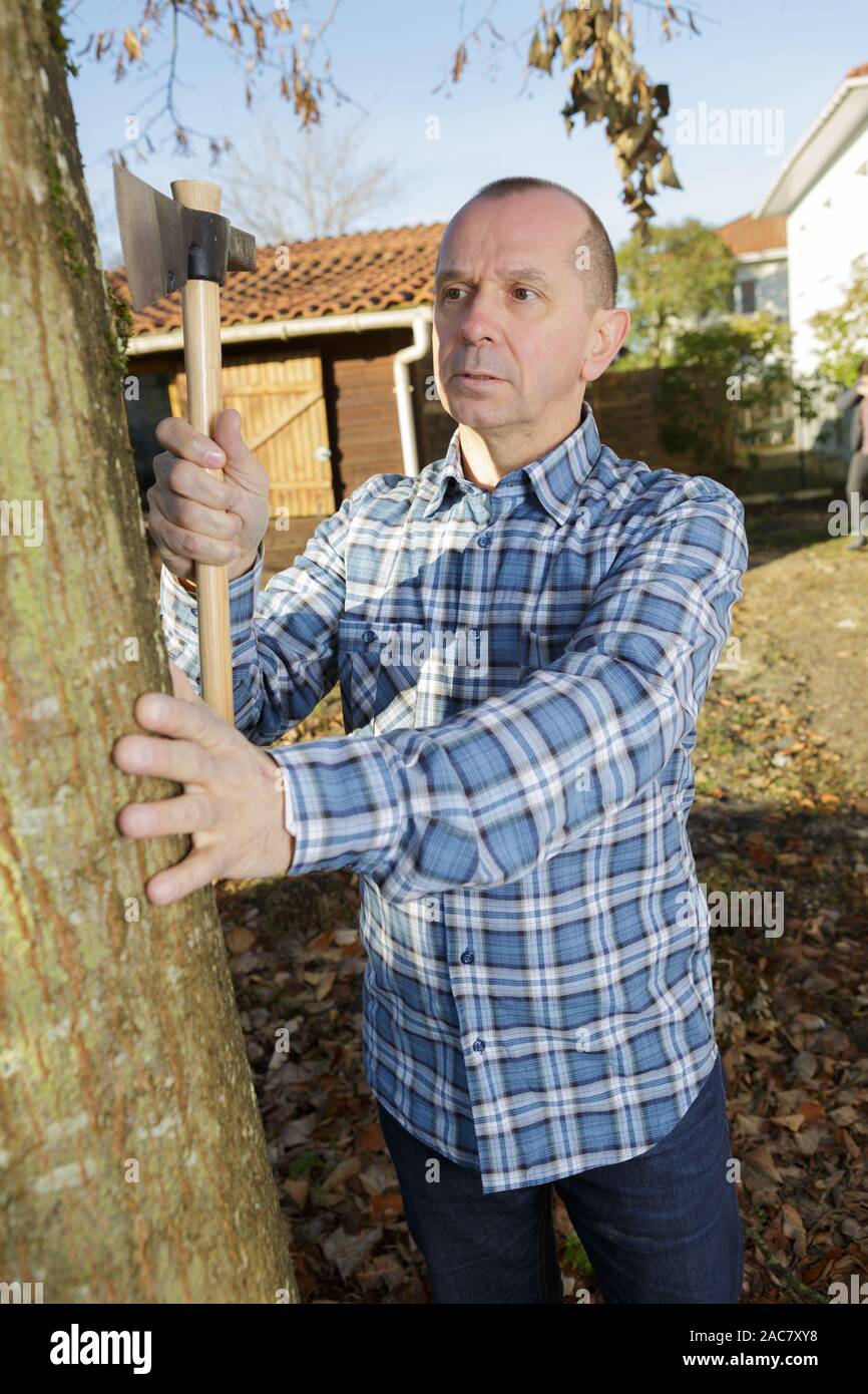 man ax and tree Stock Photo - Alamy
