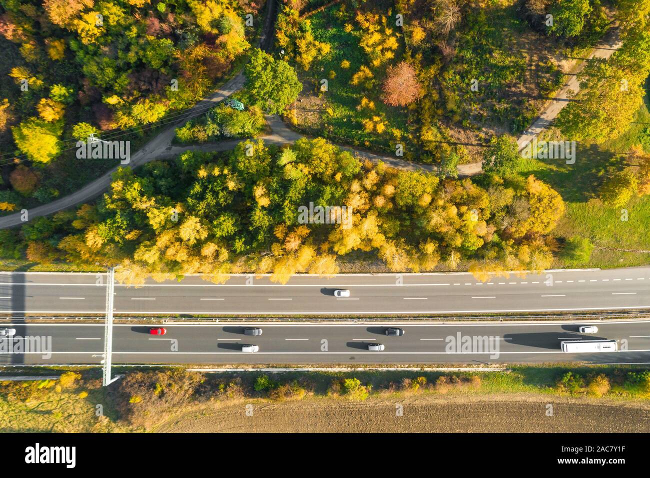 Highway forest hi-res stock photography and images - Alamy