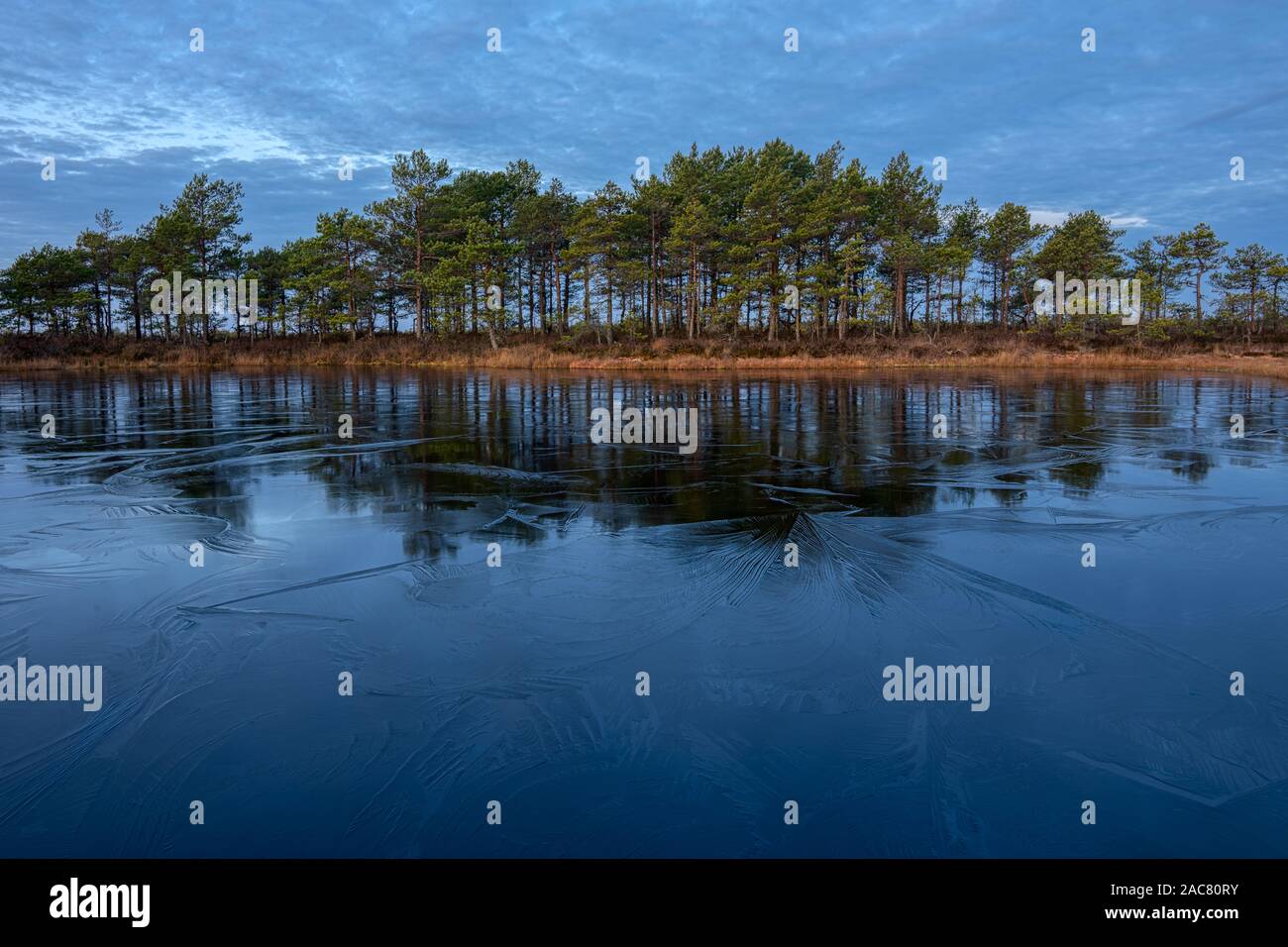 Bog pond hi-res stock photography and images - Alamy
