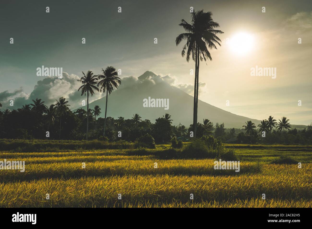 Mayon Volcano on Luzon Island Philippines Photo. Beautiful View on ...