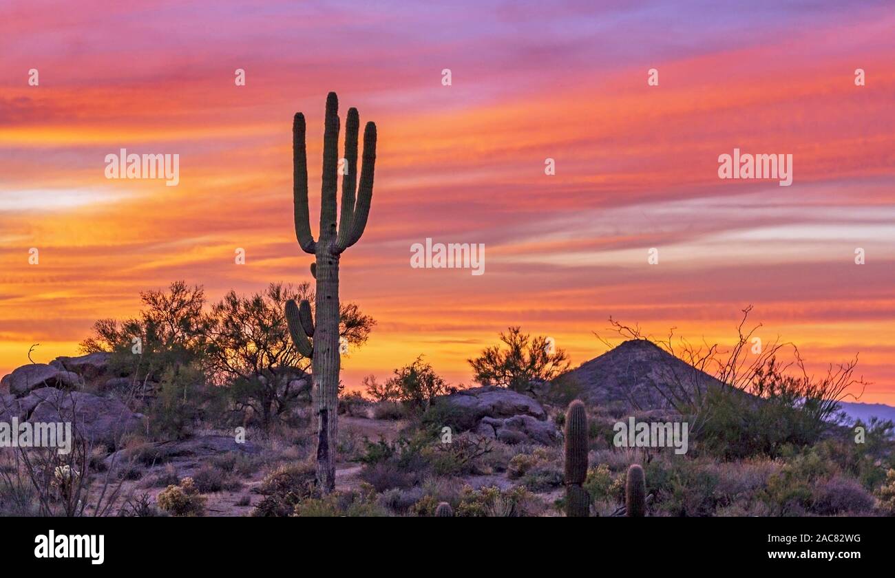 Vibrant and Brilliant colored Arizona Desert Sunset off hiking trail in ...