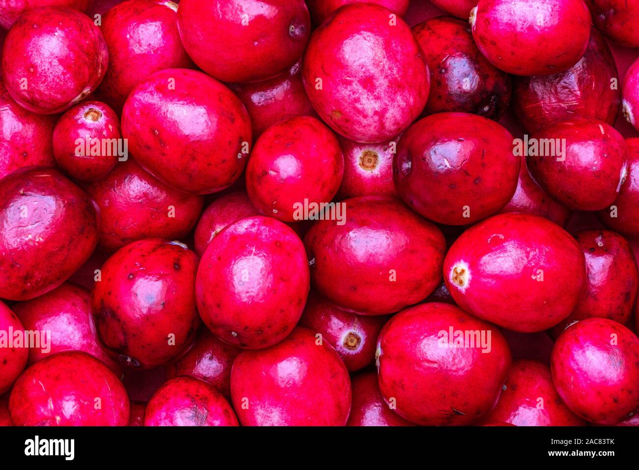Fresh bright red cranberries background Stock Photo - Alamy