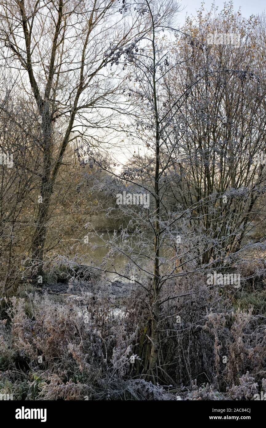 Frosty environment hi-res stock photography and images - Alamy
