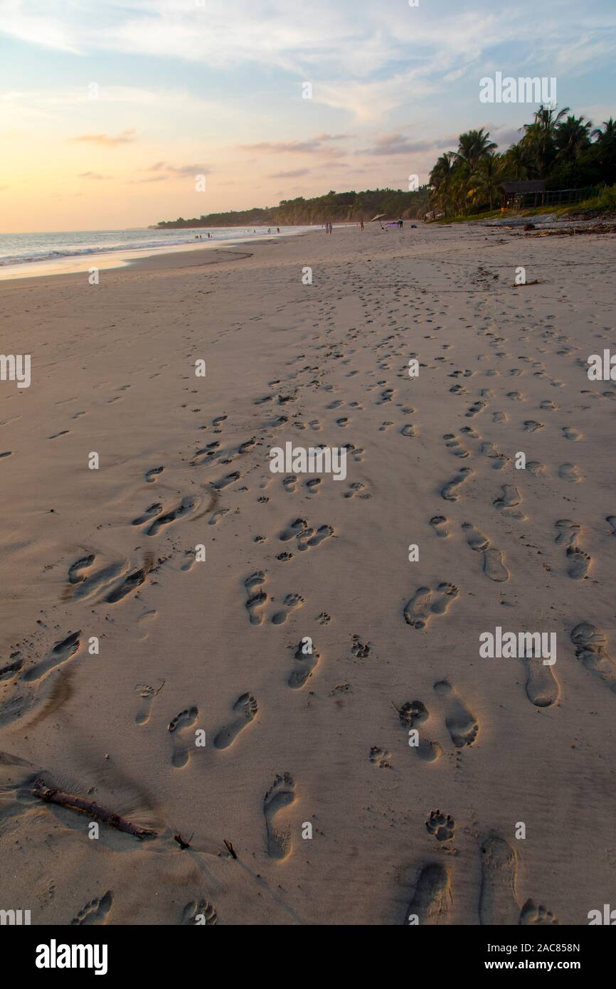 Destiladeras Beach, Punta Mita, Riviera Nayarit, Nayarit, Mexico Stock ...