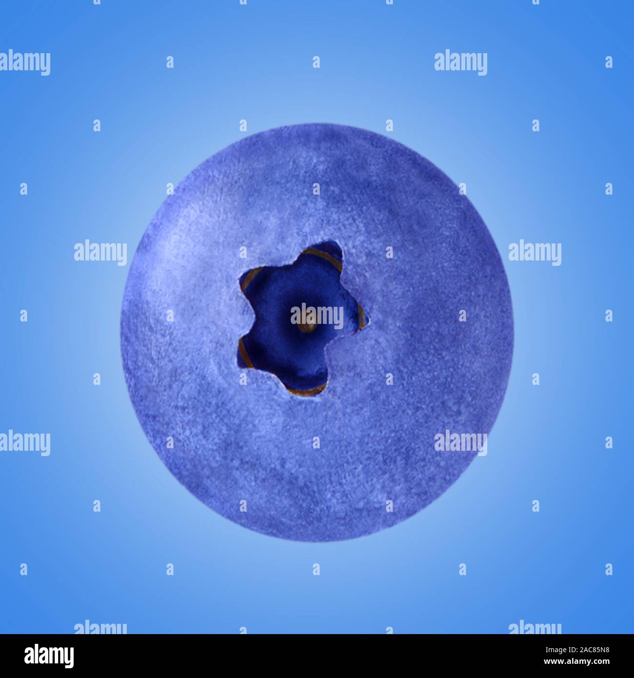 Creative blueberry fruit on hi-res stock photography and images - Alamy