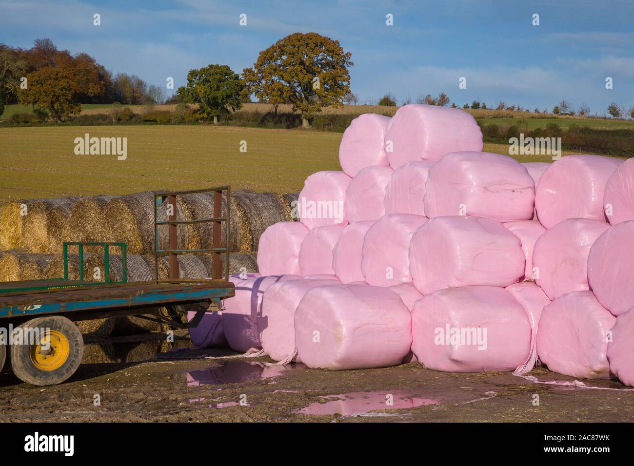 Bales of plastic waste hi-res stock photography and images - Alamy