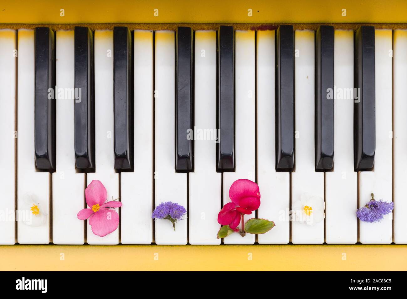 Piano key top view hi-res stock photography and images - Alamy