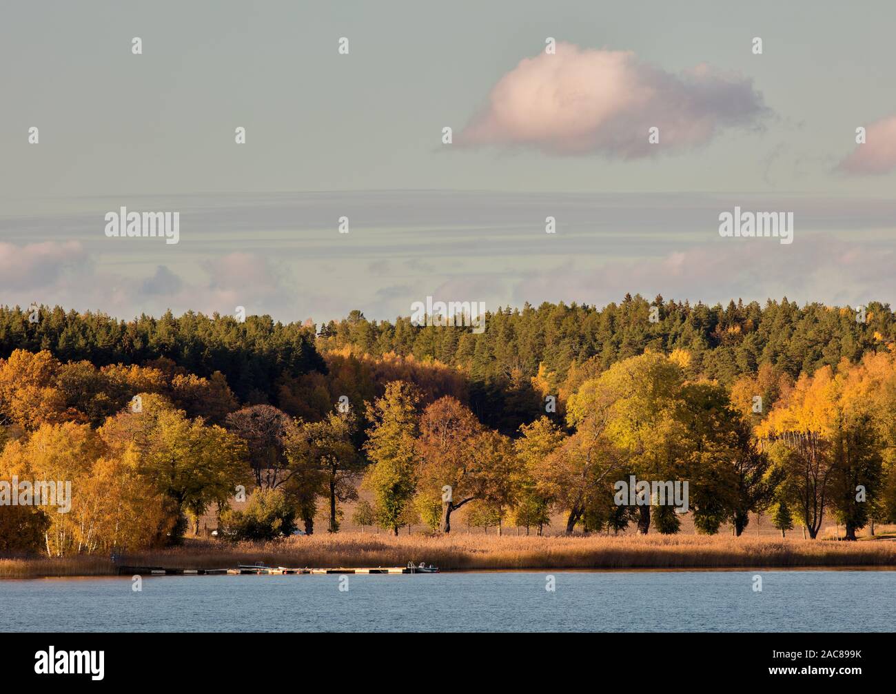 Forests around Östra Ryd near Vaxholm, Sweden Stock Photo - Alamy