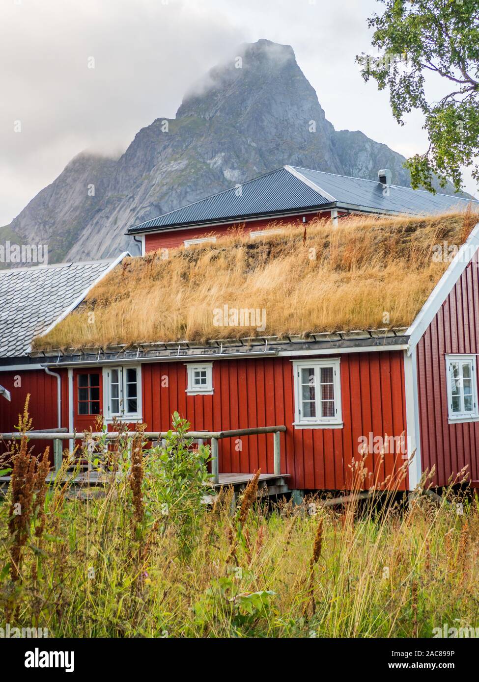 Traditional, red, wooden houses in Reine. Lofoten Norway. Europe Stock ...