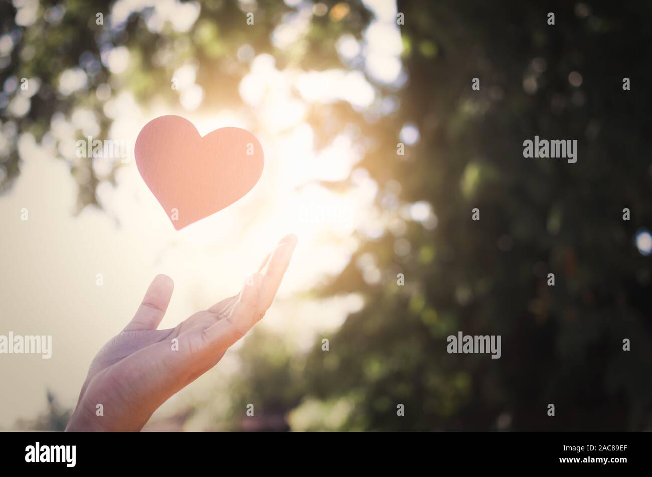 pink heart shaped bubble floating above human plam Stock Photo - Alamy