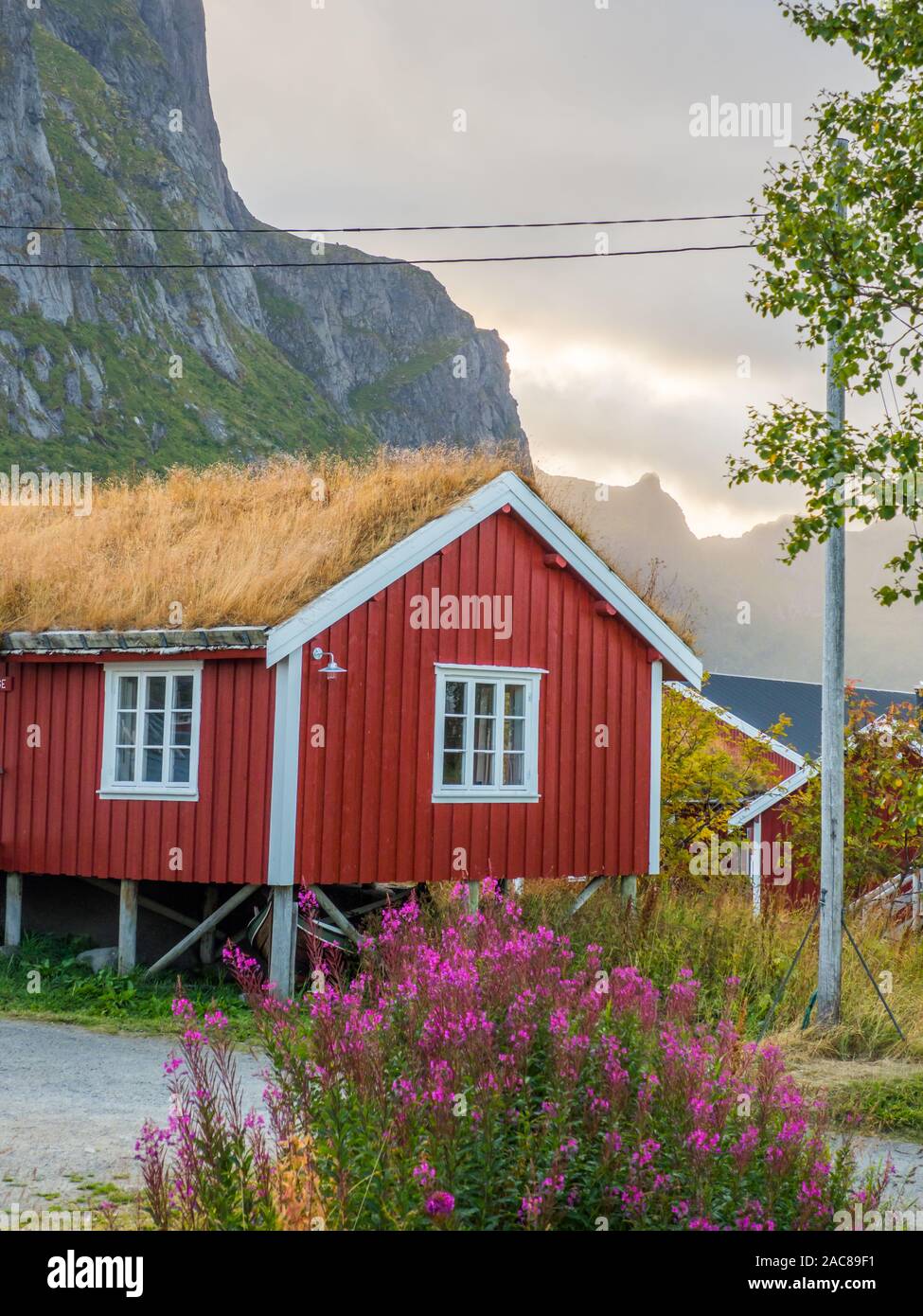 Traditional, red, wooden houses in Reine. Lofoten Norway. Europe Stock ...