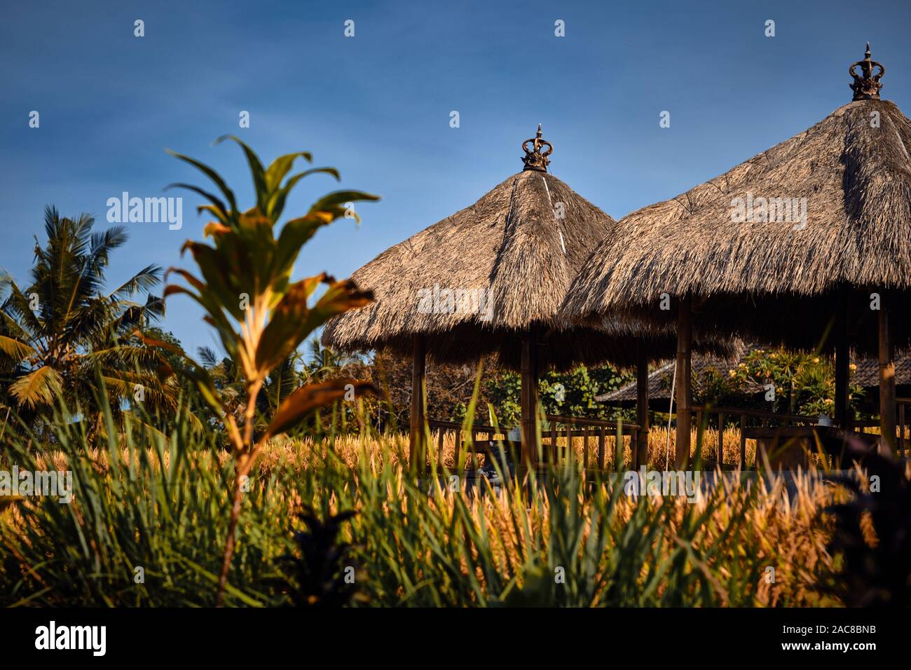 Interior of a traditional Balinese cafe in a rice field. Ubud, Bali ...