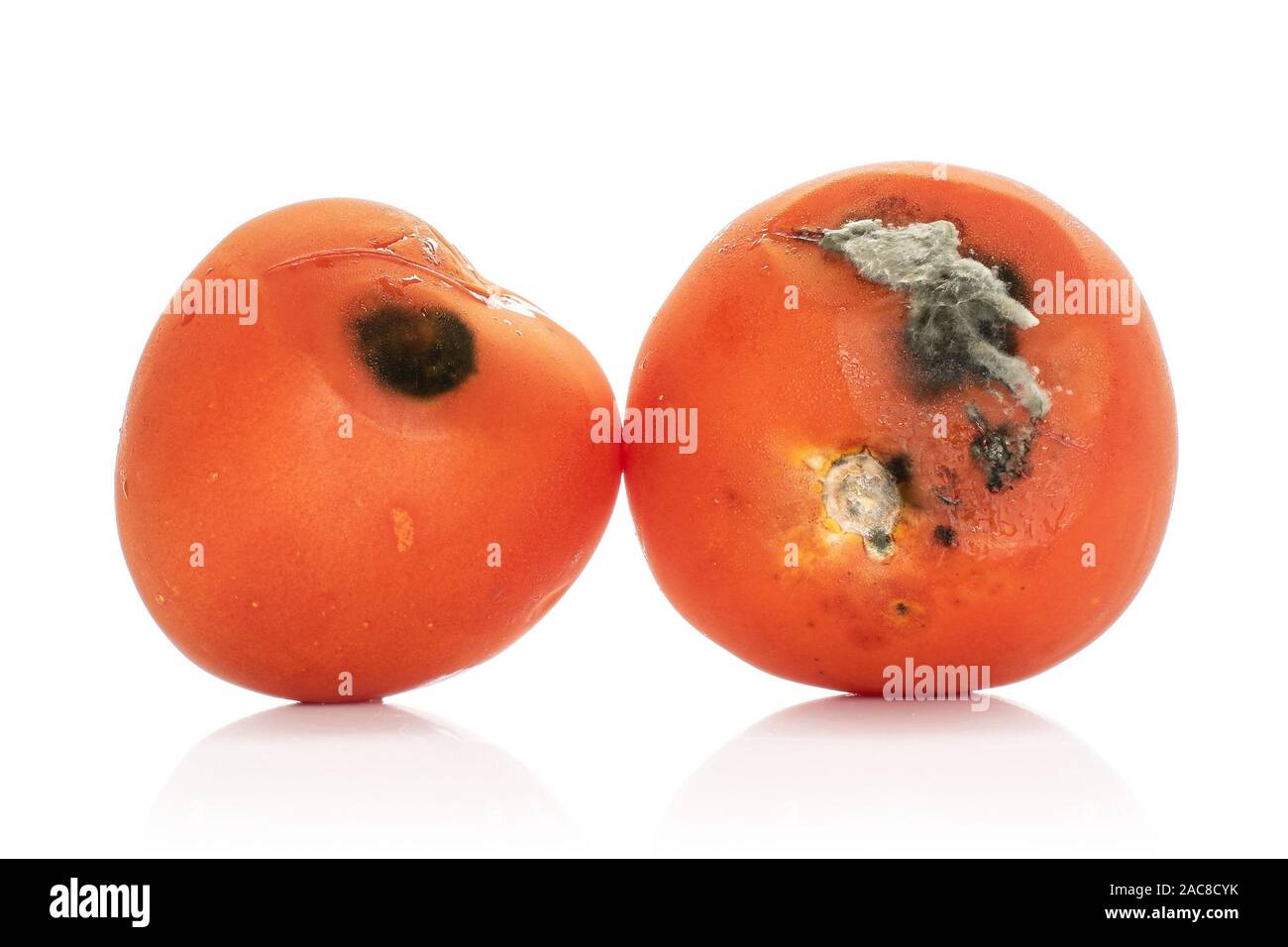 Group of two whole stale red tomato isolated on white background Stock ...
