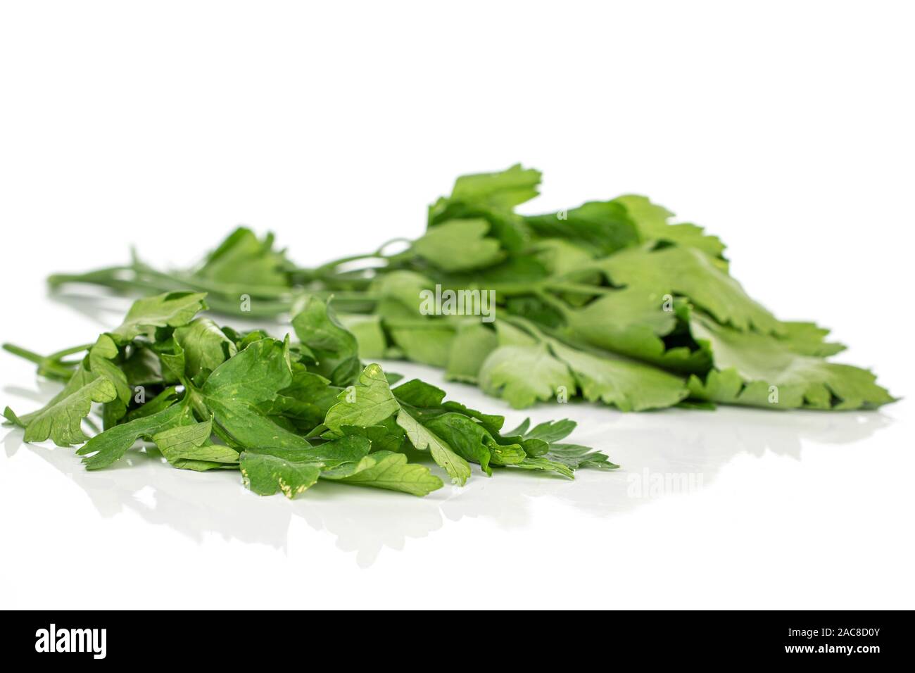 Lot of whole fresh green parsley front focus isolated on white ...