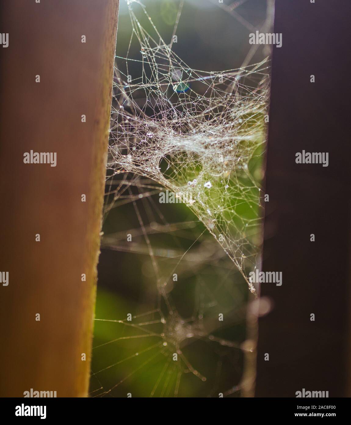 Spider web in sunlights on wooden windows in lost house Stock Photo - Alamy