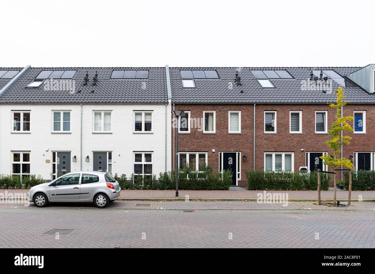 Leusden, Netherlands. 16th Nov, 2019. LEUSDEN, 16-11-2019, Utrecht ...