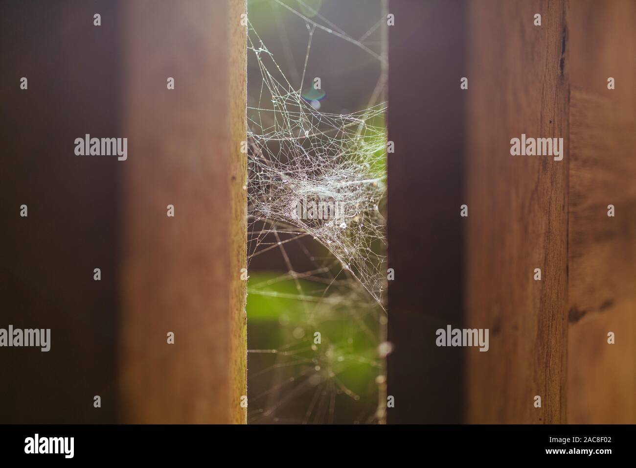 Cobweb windows hi-res stock photography and images - Alamy