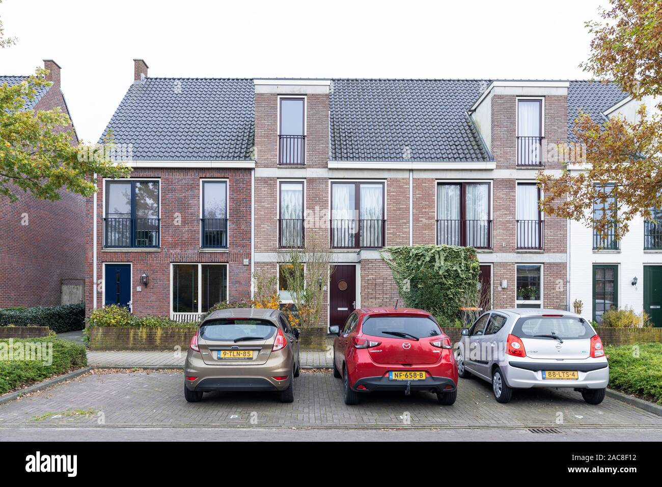 Leusden, Netherlands. 16th Nov, 2019. LEUSDEN, 16-11-2019, Utrecht ...
