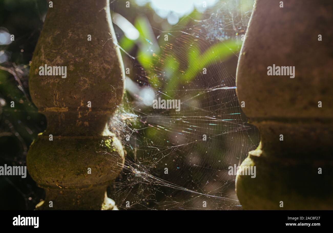 Spider web in sunlights on wooden windows in lost house Stock Photo - Alamy