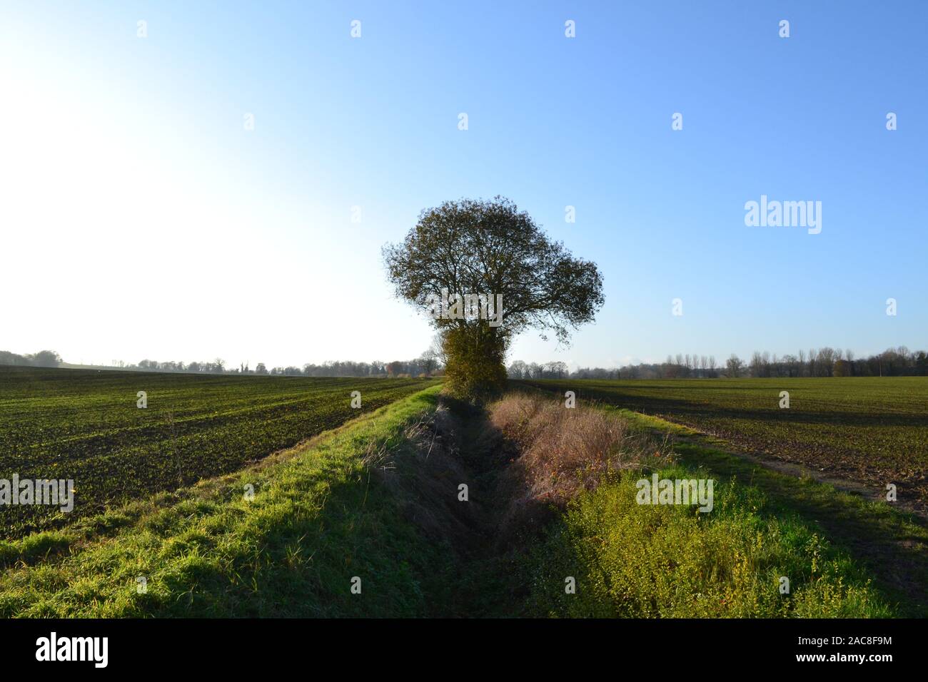 Pentlow High Resolution Stock Photography and Images - Alamy