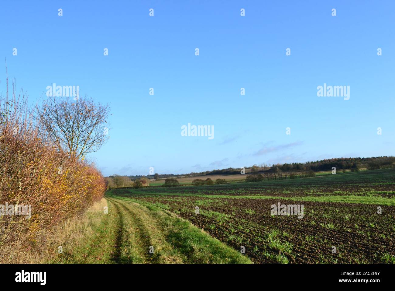 Countryside scenes from Clare and Cavendish on the Essex and Suffolk ...