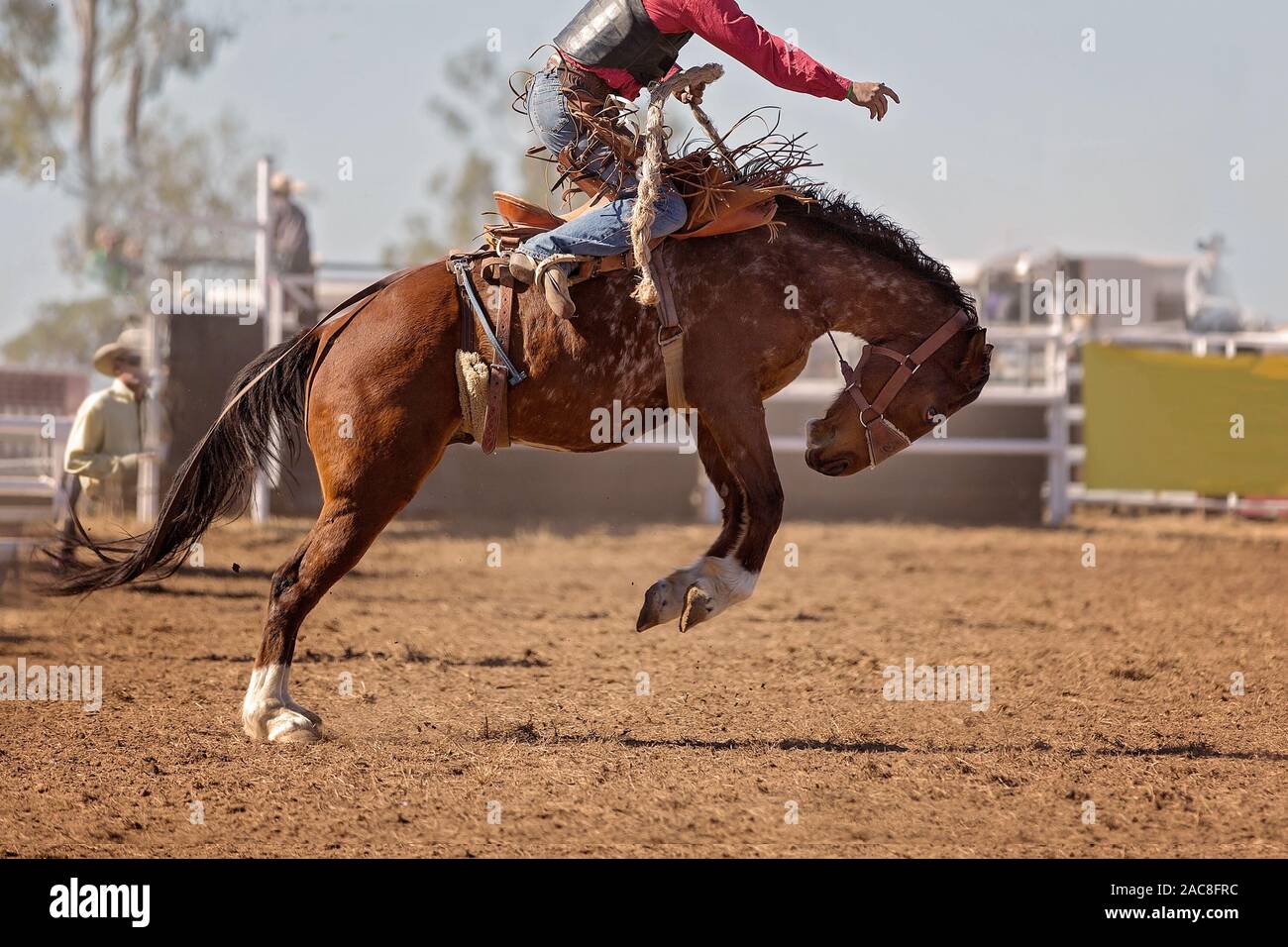 Cowboy competing in saddle bronc event at a country rodeo Stock Photo ...