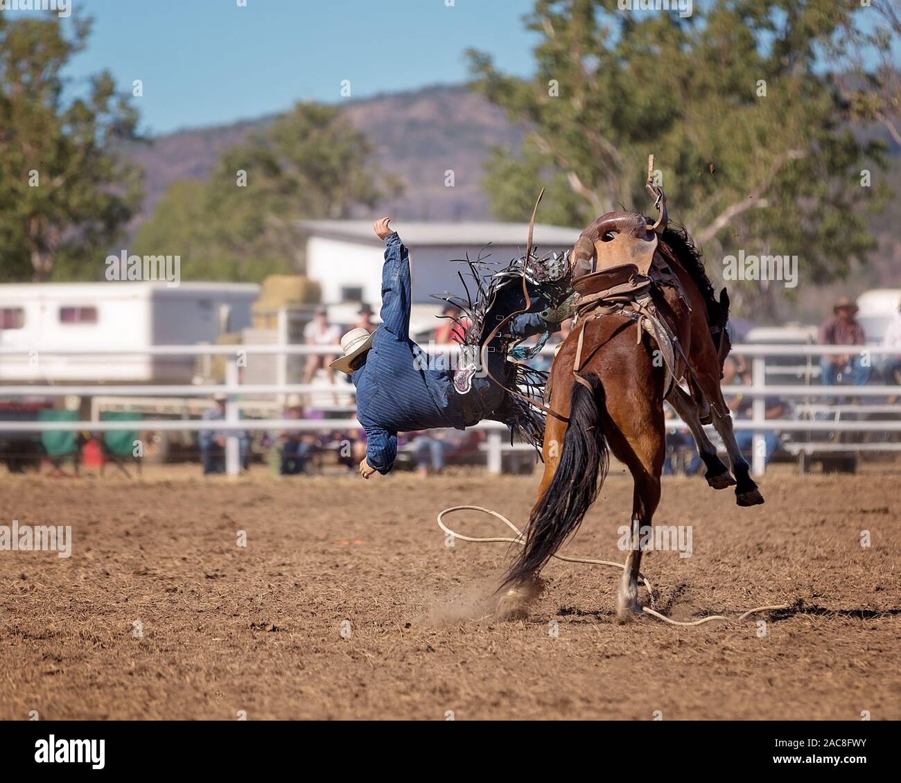 Buck off rider hi-res stock photography and images - Alamy