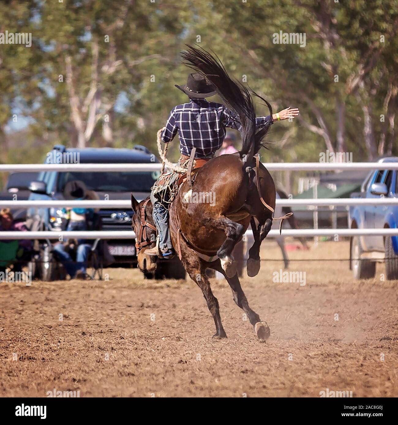 A cowboy riding a bucking horse in the saddle bronc event at a country ...