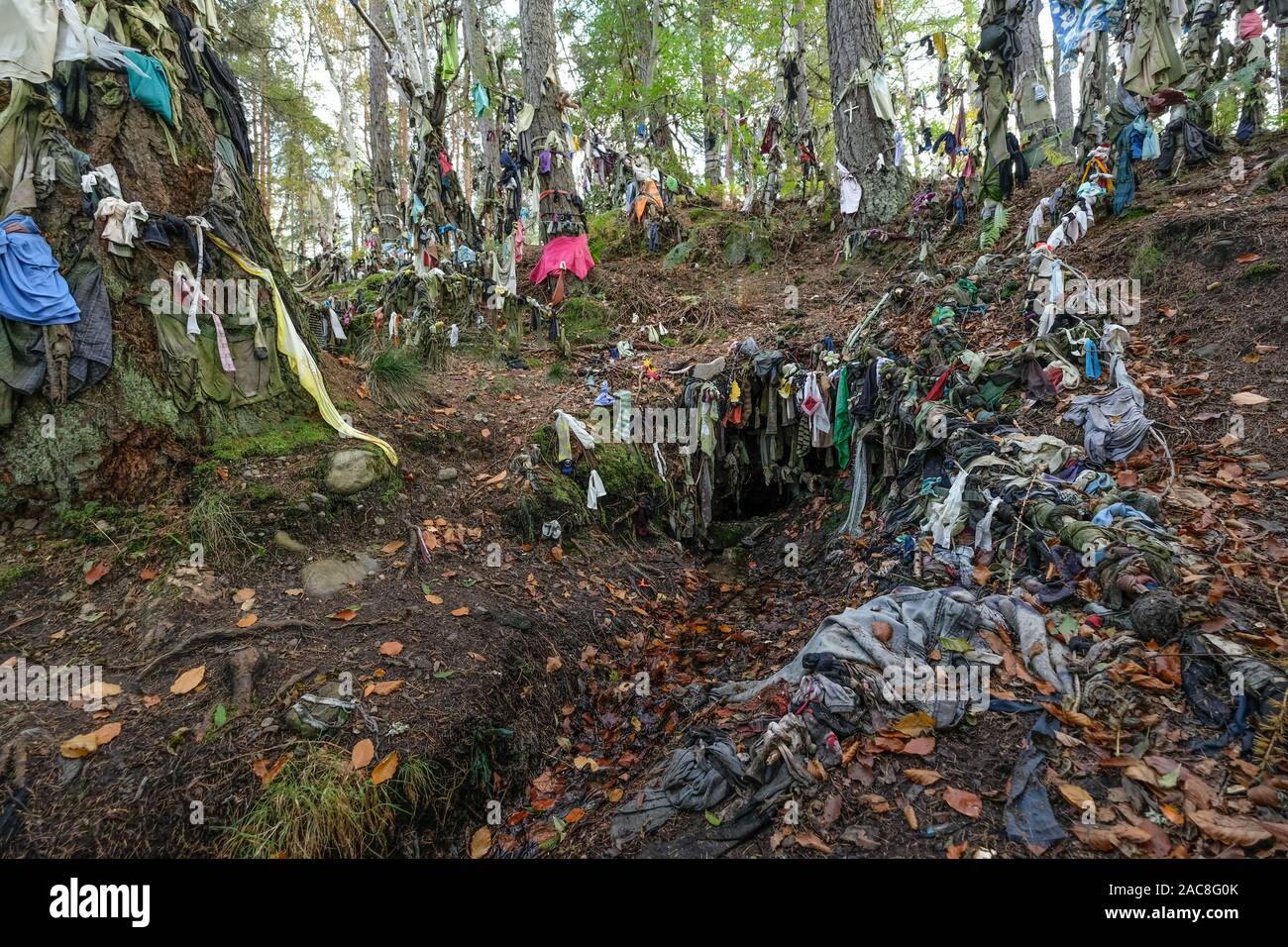 Clootie well hi-res stock photography and images - Alamy