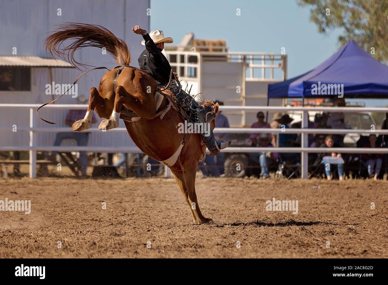 Buck chaps hi-res stock photography and images - Alamy