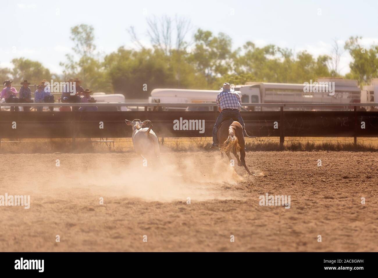 A cowboy rounds up a calf at a camp drafting competition in the dusty ...